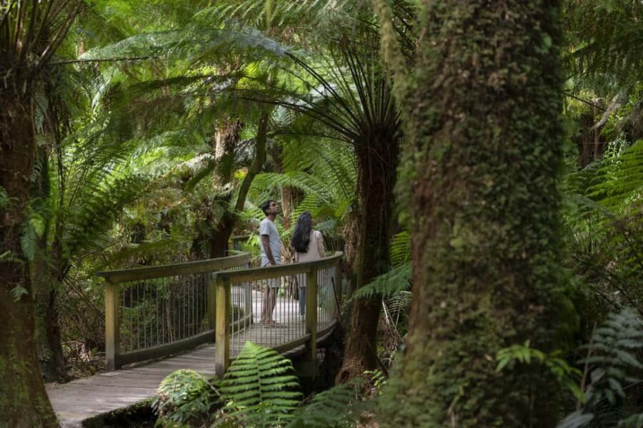 From Melbourne: Reverse Great Ocean Road Day Trip with Lunch - What Makes This Tour Stand Out?
