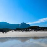 From Melbourne: Wilsons Promontory Small Group Day Tour - The Itinerary: What Makes Each Stop Special