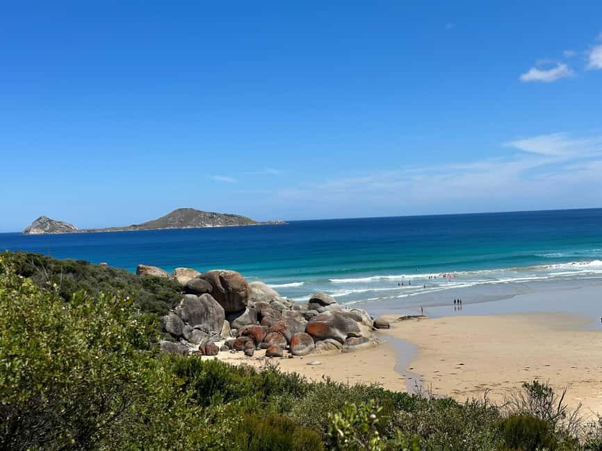 From Melbourne: Wilsons Promontory Wilderness Tour - Why This Tour Works Best for