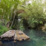 From Merida: Beach, Mangrove and something more - The Practicalities: What to Expect