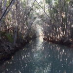 From Mérida: Enjoy nature, cenotes and beach in one day - Practical Details and Tips