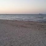 From Mérida: Mayan Dzibilchaltún & Progreso Beach Tour - What Reviewers Say