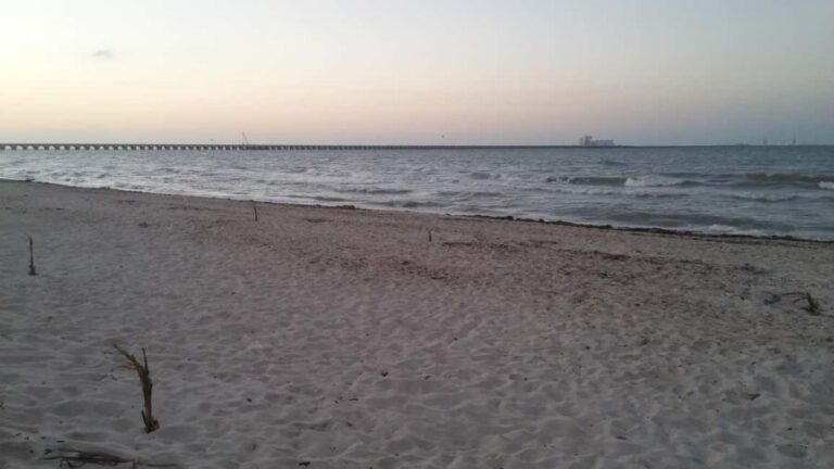 From Mérida: Mayan Dzibilchaltún & Progreso Beach Tour - What Reviewers Say