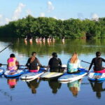 From Mérida: Paddel board, Sunshine and beach - An In-Depth Review of the Experience