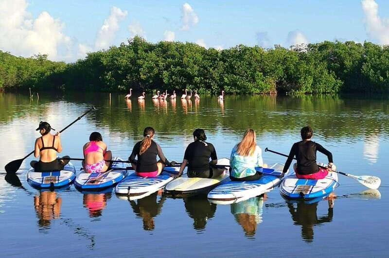 From Mérida: Paddel board, Sunshine and beach - An In-Depth Review of the Experience