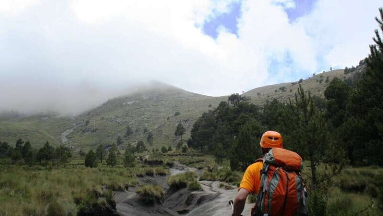 From Mexico City: Full-Day La Malinche Summit Experience - What We Love About This Tour