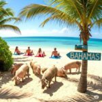 From Miami: Bimini or Grand Bahama Day Trip by Ferry - What Travelers Are Saying