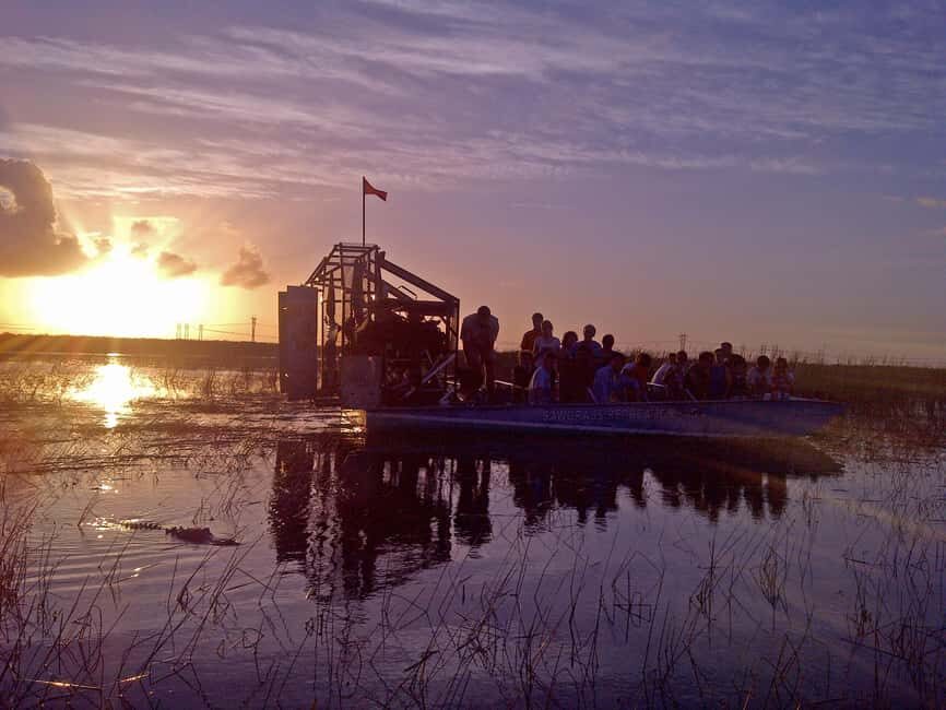 From Miami: Everglades at Night with Guided Airboat Tour - Who Should Consider This Tour?