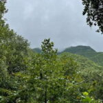 From Monterrey: Santiago Guided Half-Day Experience - Who Will Love This Tour?