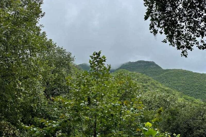 From Monterrey: Santiago Guided Half-Day Experience - Who Will Love This Tour?