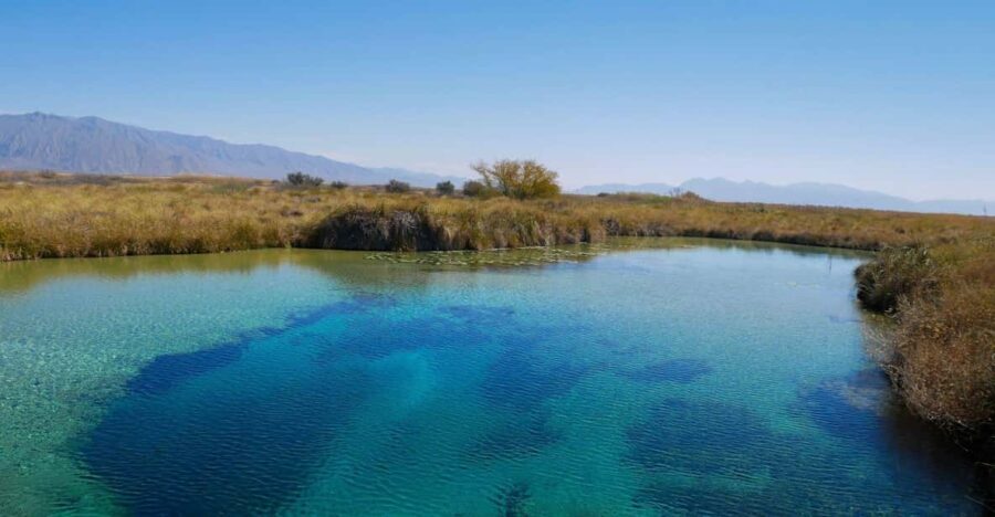 From Monterrey: Tour a Cuatro Ciénegas one day tour - The Value of This Tour