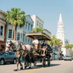From Myrtle Beach: Charleston Day Trip, Boone Hall & Cruise - Who This Tour Is Best For