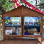 From Naddi: Guided Himalayan Nomad Culture & Nature Walk - Practical Details & What You Need to Know
