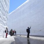 From Nagano: Tateyama-Kurobe Alpine Route - What You Can Expect on the Tour — A Detailed Breakdown