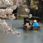 From Nagoya: Castles and Canals in Hikone and Omi Hachiman - Analyzing the Value