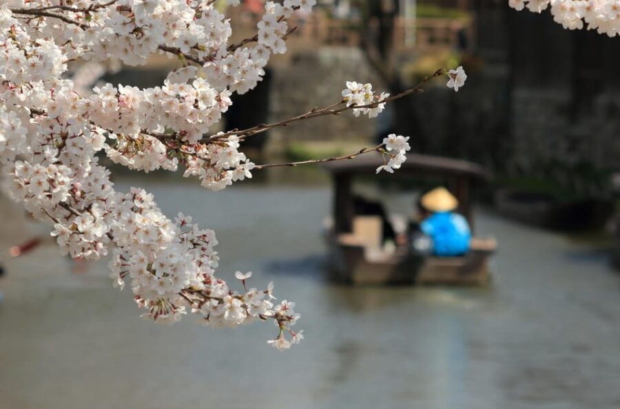 From Nagoya: Castles and Canals in Hikone and Omi Hachiman - Analyzing the Value