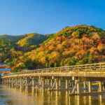 From Nagoya: Kyoto Day Tour with Kobe Beef Shabu-Shabu Lunch - What Travelers Can Expect