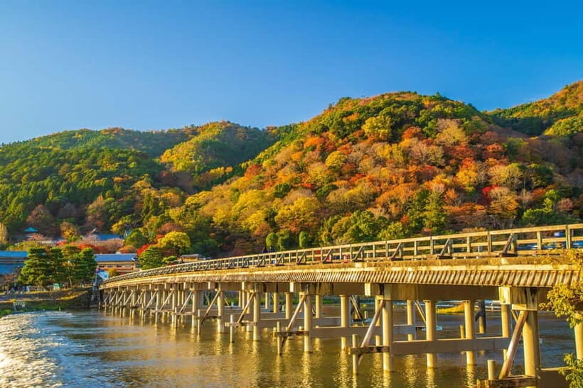 From Nagoya: Kyoto Day Tour with Kobe Beef Shabu-Shabu Lunch - What Travelers Can Expect