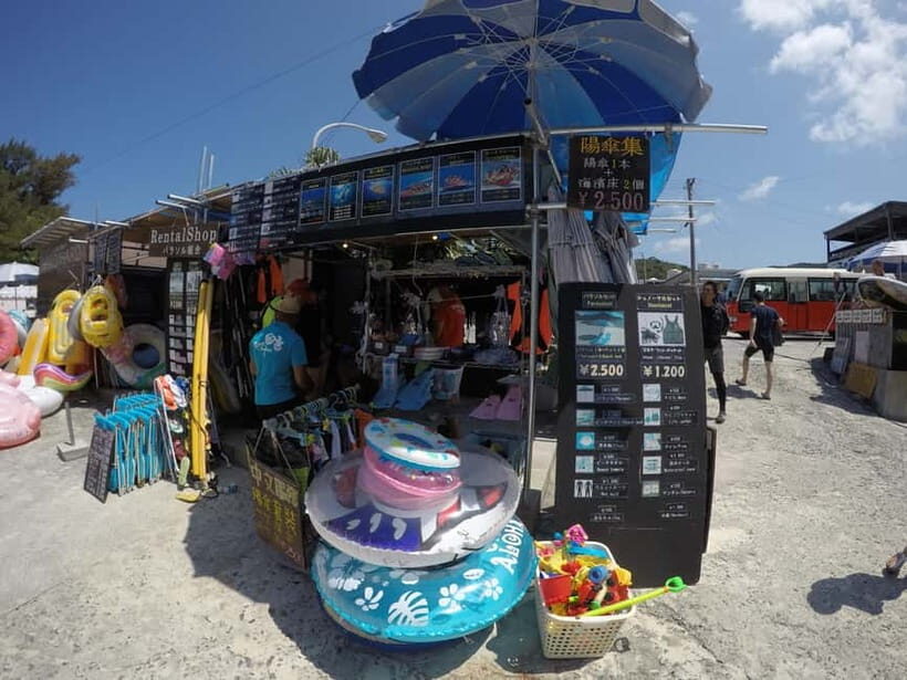 From Naha: Tokashiki Island Day Trip - An In-Depth Look at the Experience