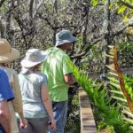 From Naples: 10,000 Islands Boat Trip & Everglades Walk! - Final Thoughts: Is It Worth It?