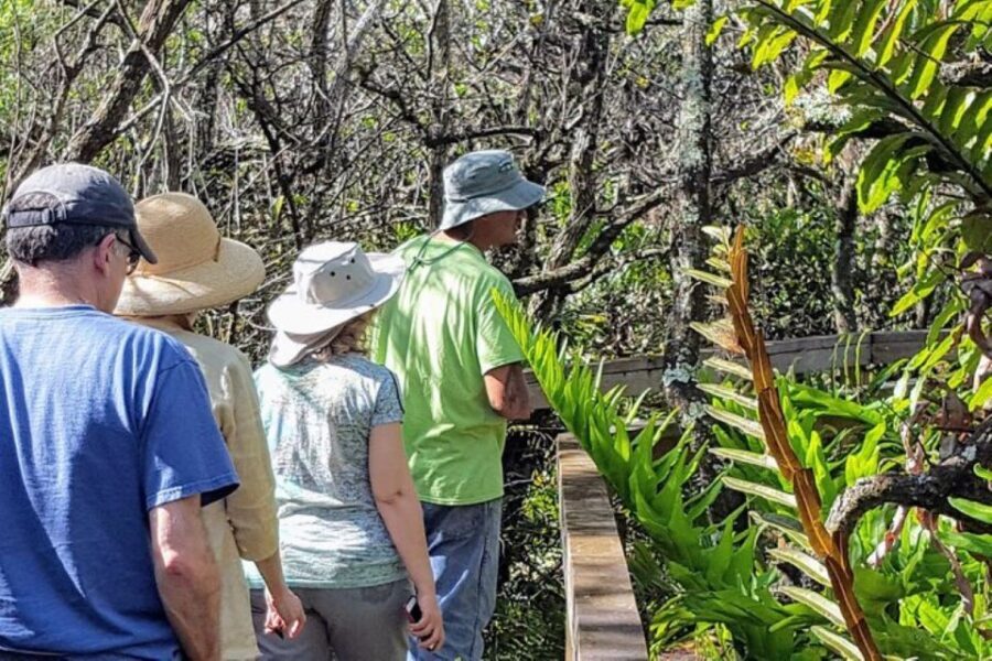 From Naples: 10,000 Islands Boat Trip & Everglades Walk! - Final Thoughts: Is It Worth It?