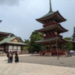 From Narita Airport: Private Layover or Transit Guided Tour - Exploring Narita: A Deeper Look