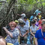 From Negombo: Bentota Full-Day Tour - What Travelers Can Expect