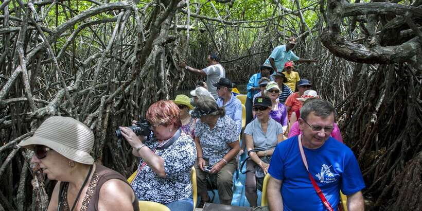 From Negombo: Bentota Full-Day Tour - What Travelers Can Expect