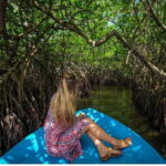 From Negombo: Exclusive Madu River Safari & Turtle Hatchery - Why Travel With This Tour?