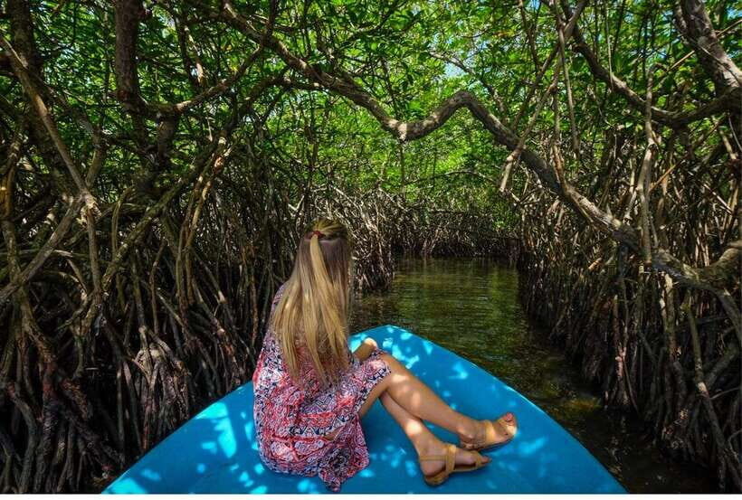 From Negombo: Exclusive Madu River Safari & Turtle Hatchery - Why Travel With This Tour?