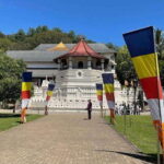 From Negombo : Pinnawala & Tea Factory & Kandy Full Day Trip - A Detailed Look at the Full-Day Experience