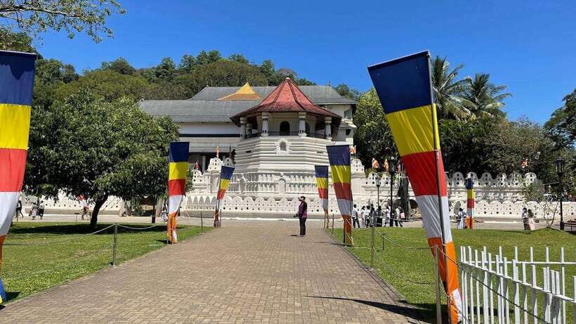 From Negombo : Pinnawala & Tea Factory & Kandy Full Day Trip - A Detailed Look at the Full-Day Experience
