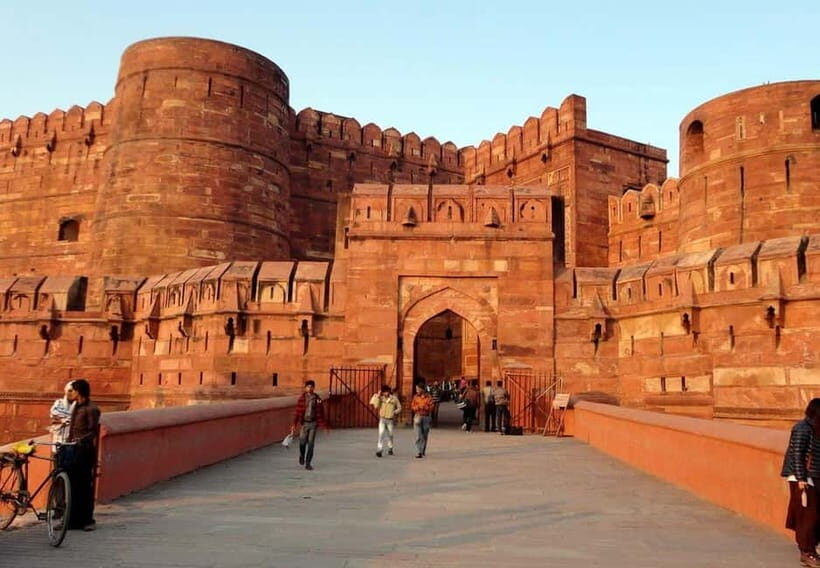 From New Delhi: Taj Mahal Sunrise Tour and Elephant Wildlife - The Value of This Tour