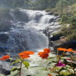 From Nha Trang: Best Seller Top Site Luxury Da Lat City Trip - The Practicalities: What You Need to Know