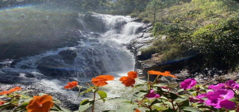 From Nha Trang: Best Seller Top Site Luxury Da Lat City Trip - The Practicalities: What You Need to Know