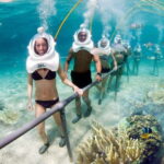 From Nha Trang: Sea Walking Explore Coral Reef- Daily Tour - Price and Value Analysis
