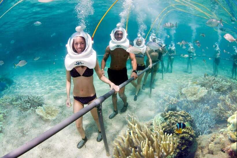 From Nha Trang: Sea Walking Explore Coral Reef- Daily Tour - Price and Value Analysis