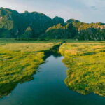 From Ninh Binh: Cuc Phuong National Park 1-Day Small Group - Deep Dive into the Itinerary