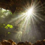 From Ninh Binh: Cuc Phuong National Park Day Trip - What to Expect During the Day