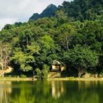 From Ninh Binh : Cuc Phuong National Park Full Day Trip - Who Will Love This Tour?