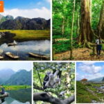 From Ninh Binh: Cuc Phuong - Van Long Small Group Tours - The Value of This Tour