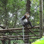 From Ninh Binh to Cuc Phuong National Park, Trekking and Jungle - The Itinerary in Detail