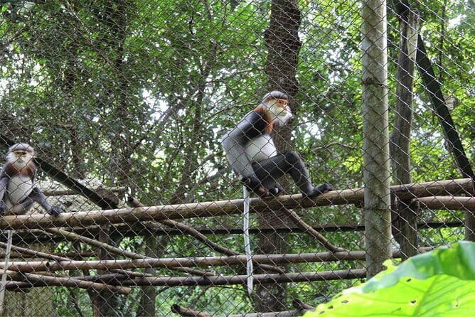 From Ninh Binh to Cuc Phuong National Park, Trekking and Jungle - The Itinerary in Detail