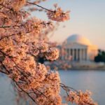 From NYC: Niagara Falls, Washington DC and Boston 4-Day Trip - What Travelers Are Saying