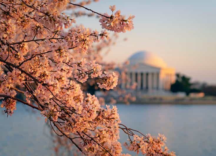 From NYC: Niagara Falls, Washington DC and Boston 4-Day Trip - What Travelers Are Saying