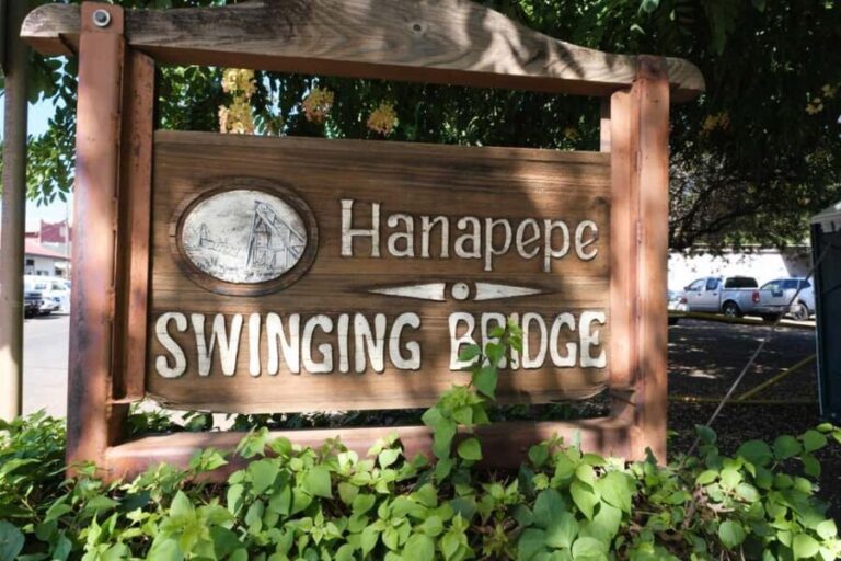 From Oahu: Kauai Waimea Canyon and Koke'e Adventure Tour - Transportation and Guide Quality