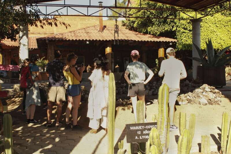 From Oaxaca de Juarez: Hierve el Agua and Mezcal Distillery - The Value Proposition