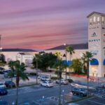 From Orlando: SeaWorld and Clearwater Beach 5-Day Group Tour - Day 3: Relax on Clearwater Beach and possible dolphin spotting