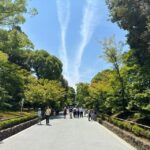 From Osaka: Kyoto Highlights One Day Private Tour - What to Expect from Your Kyoto Private Day Trip