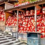 From Osaka/Kyoto : Private Osaka Day Trip w/Pickup & Dropoff - What’s Included and What’s Not